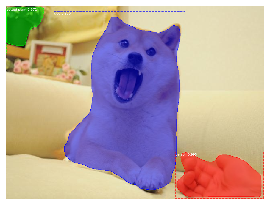 It takes 55 seconds to detect a dog in doge.jpg · Issue #1895 ...