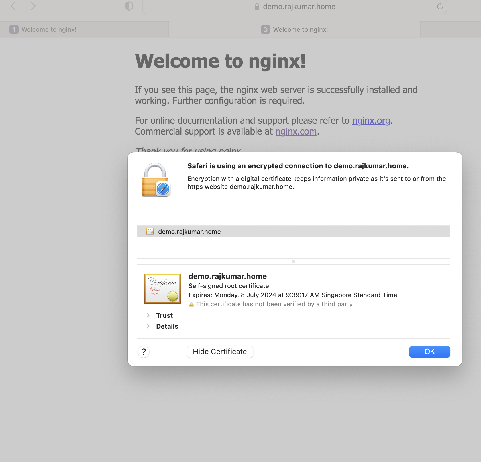GitHub - r7rajkumar/nginx-chart: nginx-chart demo