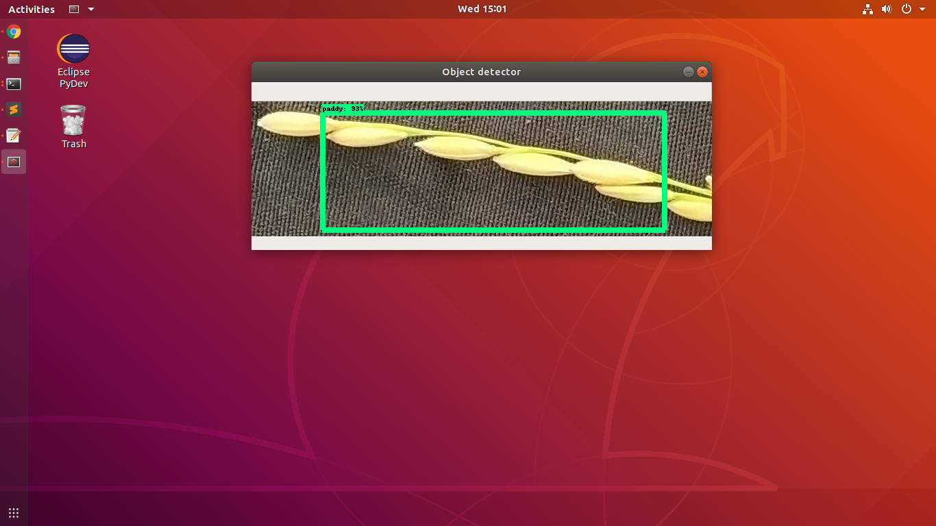 Grain (Paddy) Detect from Image · Issue #7664 · tensorflow/models · GitHub