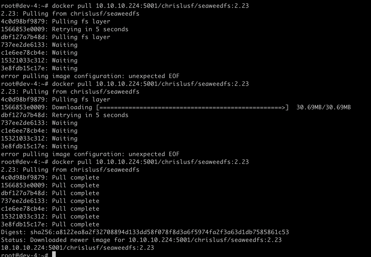 docker-registry with seaweedfs weed mount has error · Issue #2065 · seaweedfs/seaweedfs · GitHub