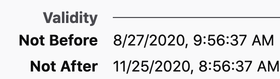 SSL Cert for localhost.localstack.cloud · Issue #2953 · localstack/localstack · GitHub
