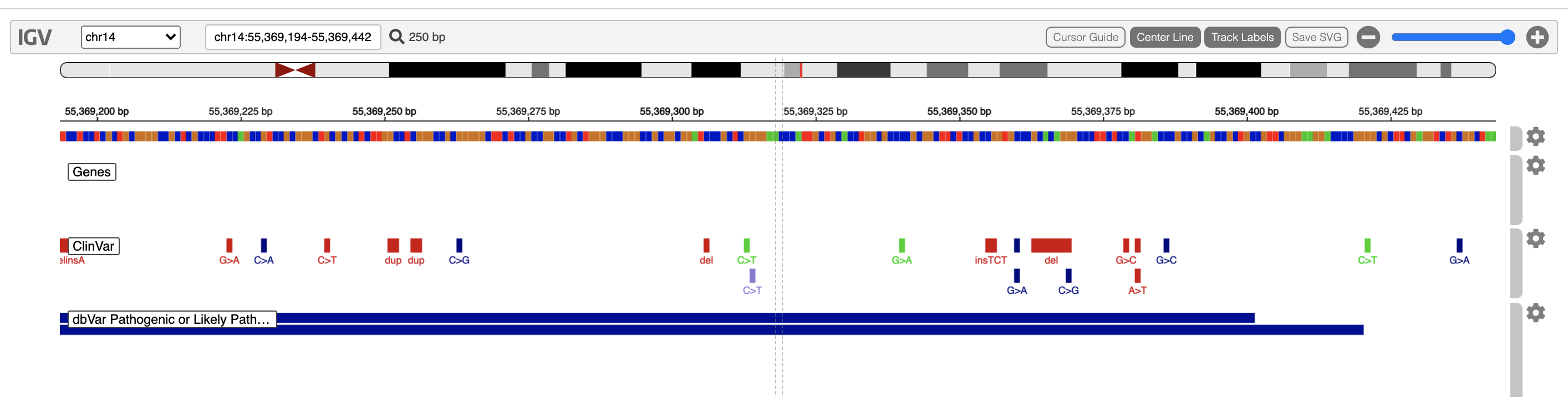 Issue displaying a gene track · Issue #1261 · igvteam/igv.js · GitHub