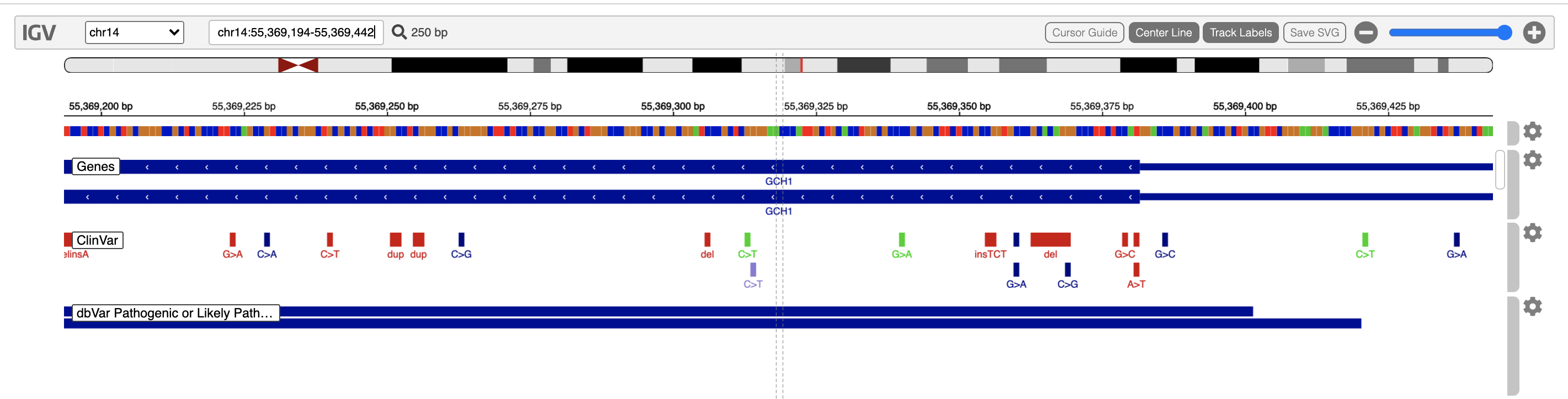 Issue displaying a gene track · Issue #1261 · igvteam/igv.js · GitHub