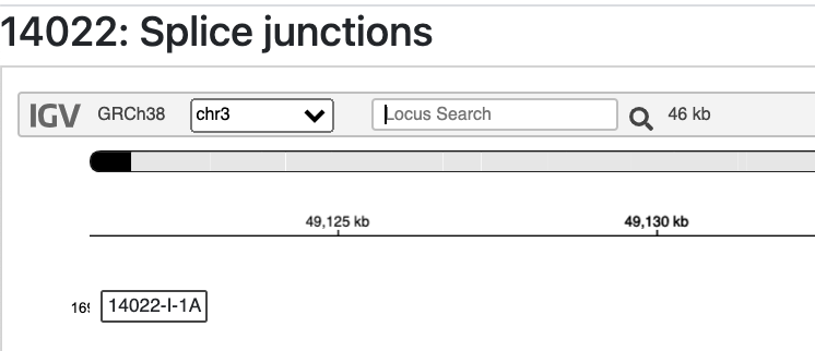 Impossible To Jump To Another Gene From The Splice Junction Track Igv