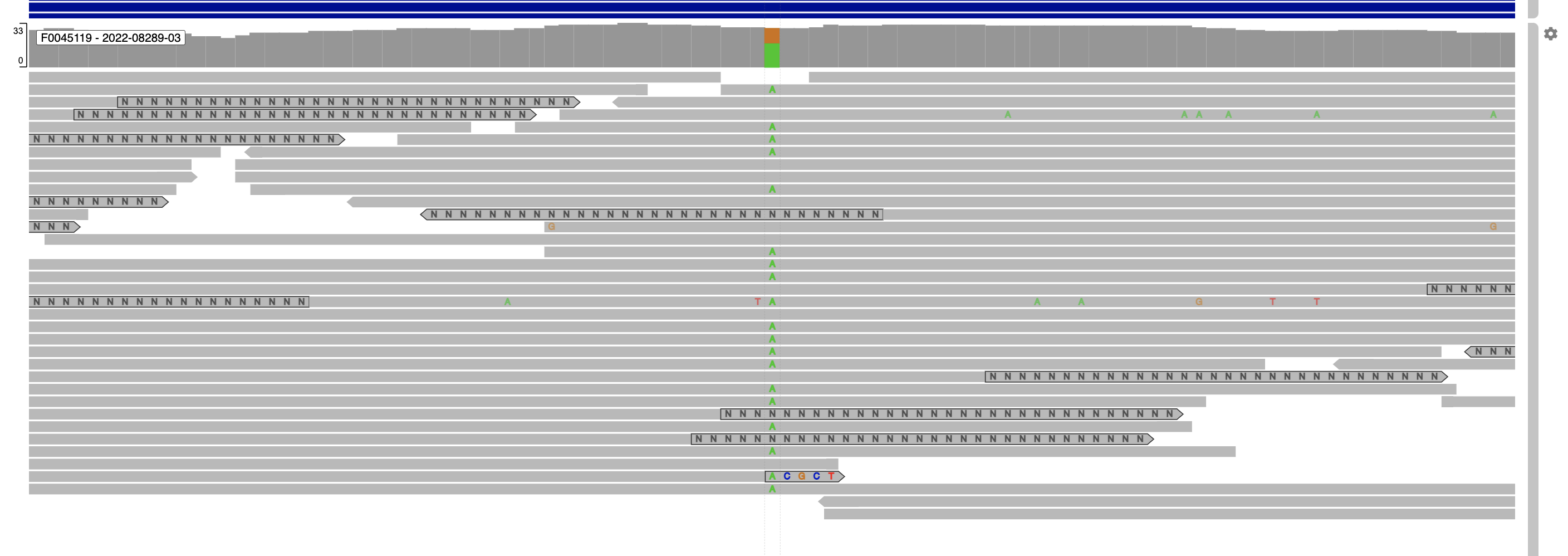 IGV softclips · Issue #3298 · Clinical-Genomics/scout · GitHub