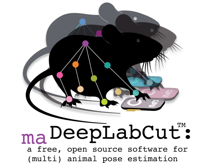 Releases · DeepLabCut/DeepLabCut · GitHub