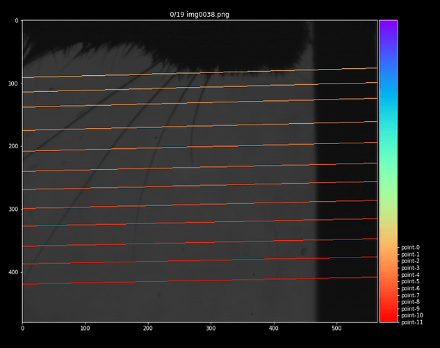 Epipolar line color mismatch · Issue #1807 · DeepLabCut/DeepLabCut · GitHub