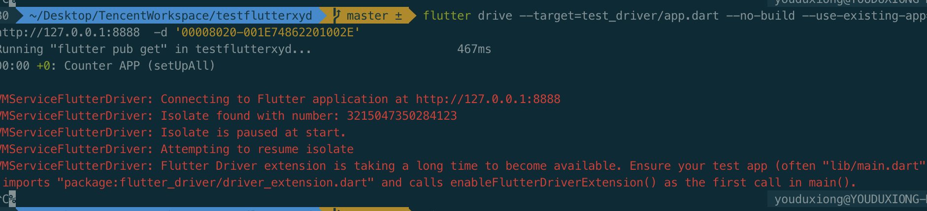 VMServiceFlutterDriver: Flutter Driver extension is taking a long time to become available ...