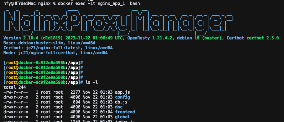 MacOS 11. Why does the color scheme work normally inside the docker container, but does not take ...