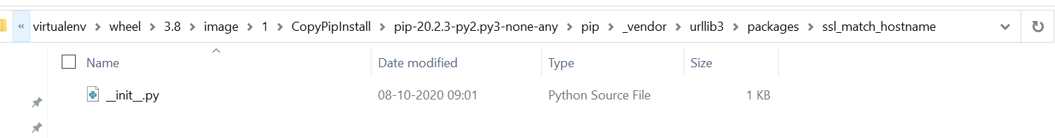 RuntimeError: no .dist-info has pip · Issue #1971 · pypa/virtualenv · GitHub