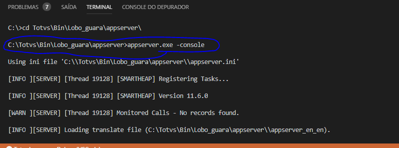 Abertura do appserver via terminal VScode · Issue #118 · totvs/tds-vscode · GitHub