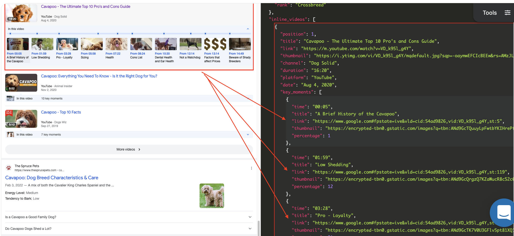 [Google Search API] Timestamp links for videos are returned as hashed Google links instead of ...