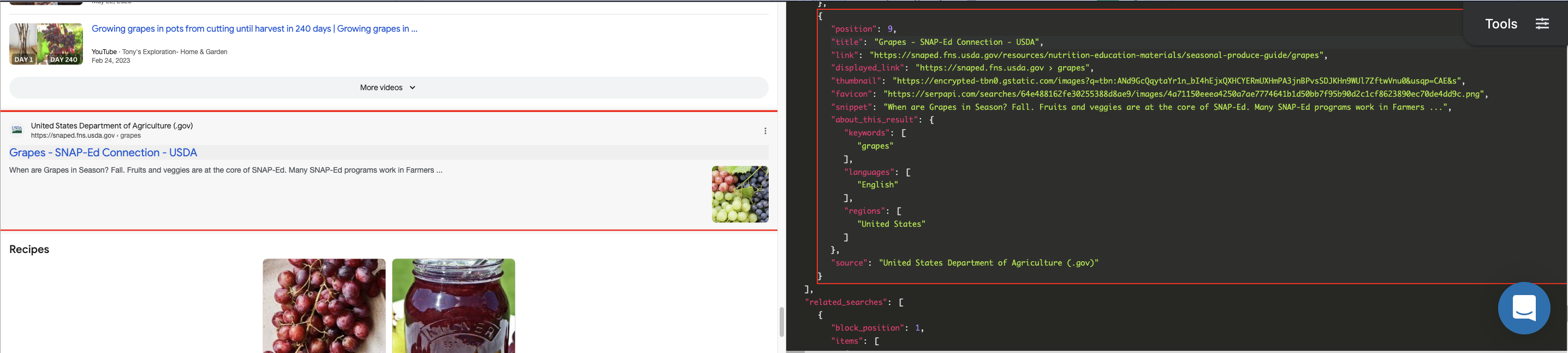 [Google Search API] Searches return inconsistent number of `organic_results` with the `num ...