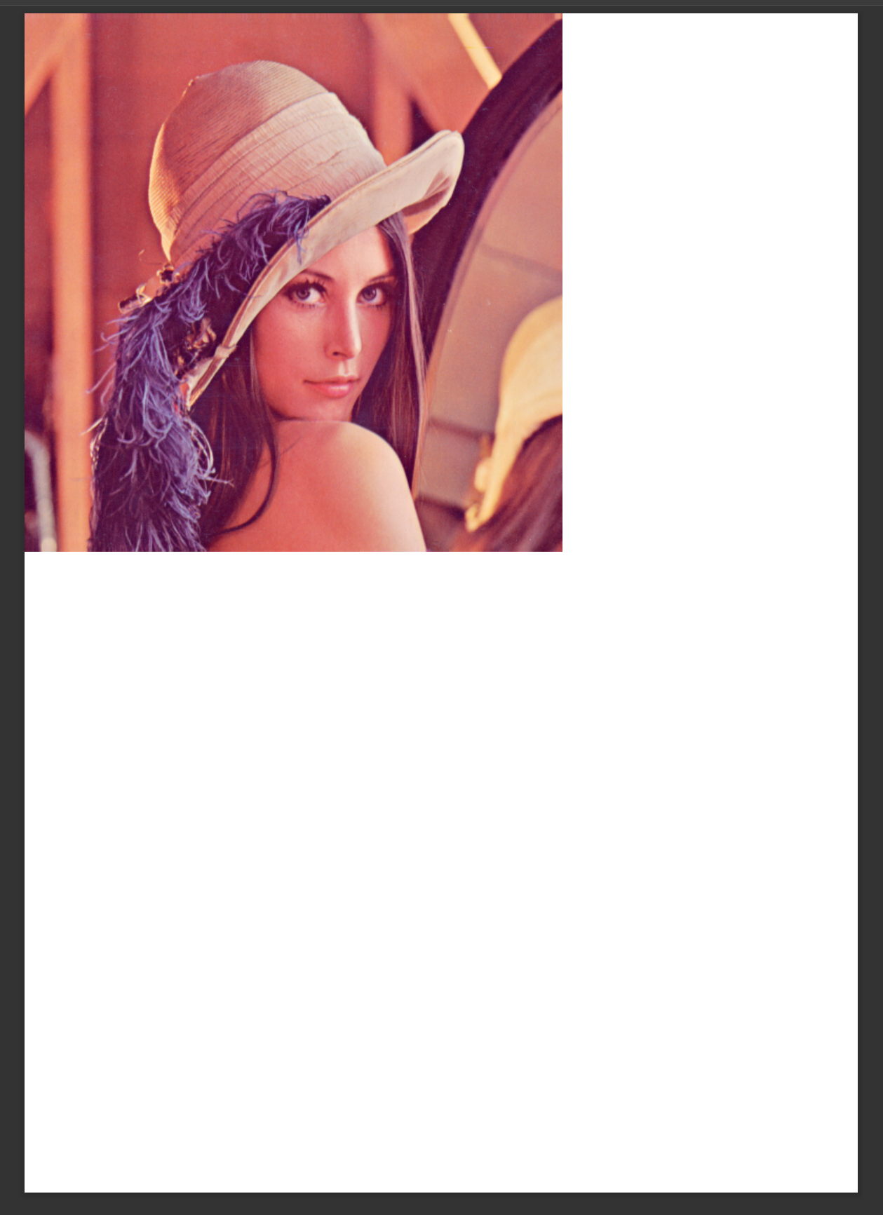 PNG images not rendering properly on .Net 6 · Issue #191 · ststeiger/PdfSharpCore · GitHub