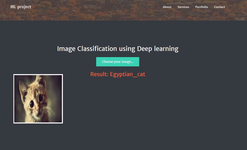 GitHub - Mohamedballouch/Deploy-a-deep-learning-model-with-Flask: Deploying deep learning model ...