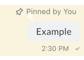 Weird indicator on pinned messages · Issue #1312 · GetStream/stream-chat-flutter · GitHub