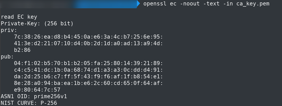 v2ctl 自签证书生成的 key 似乎有问题 · Issue #780 · v2ray/discussion · GitHub