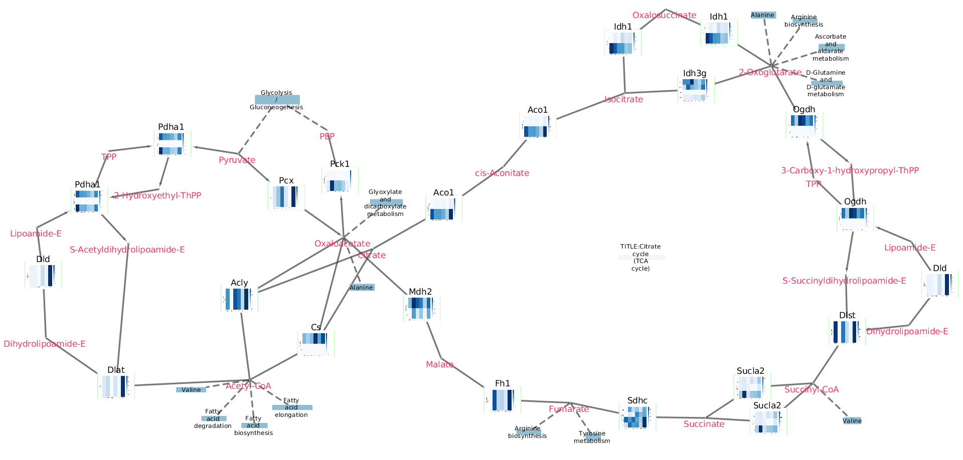 GitHub - daiyaohara/Cytoscape_heatmap: mapping Heatmaps on the KEGG ...