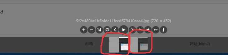 图片会被渲染两次 · Issue #242 · mirari/v-viewer · GitHub