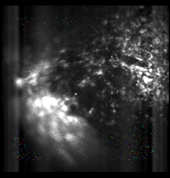 Types of Compression Supported in Suite2p · Issue #799 · MouseLand ...