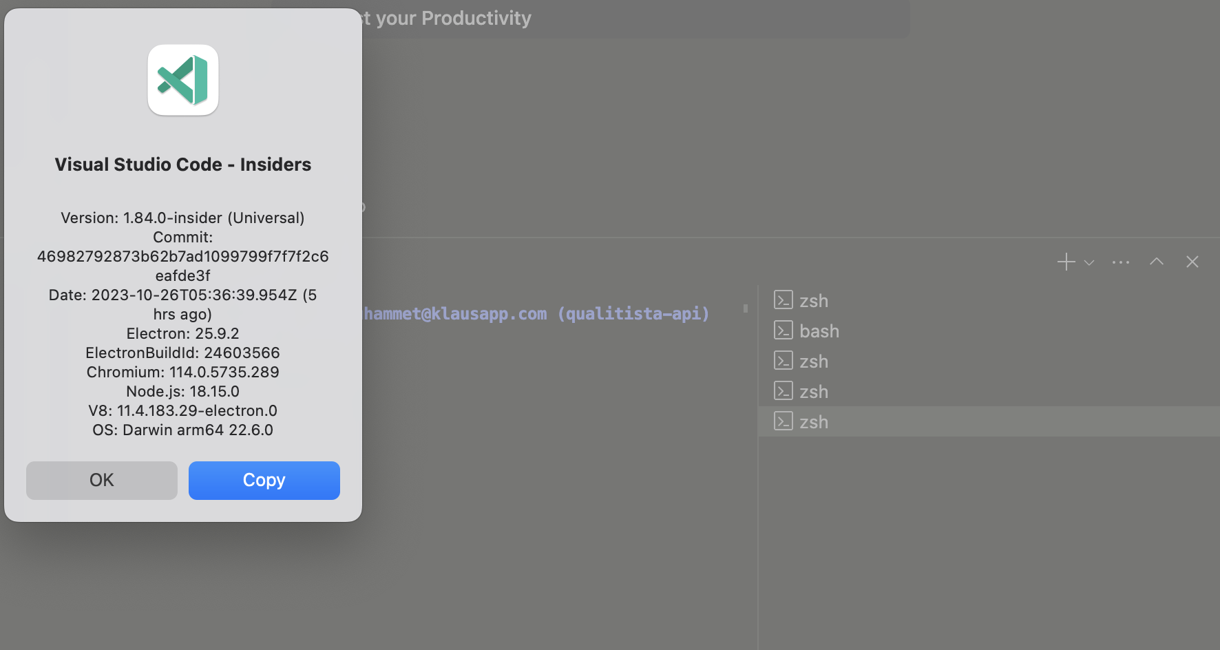 [BUG] Overlapping Issue in Terminal · Issue #196565 · microsoft/vscode · GitHub