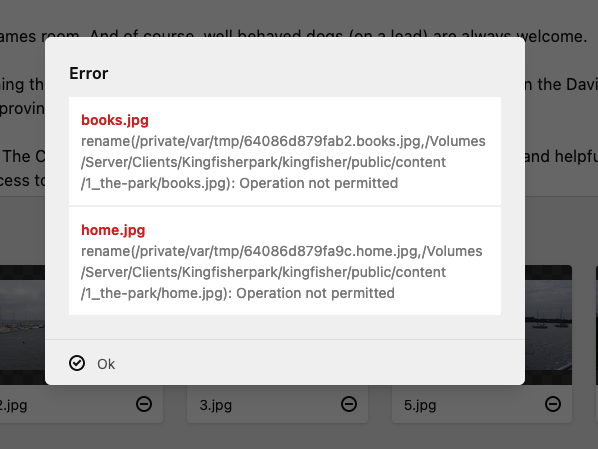 Error message on upload "Operation not permitted" · Issue #5024 · getkirby/kirby · GitHub