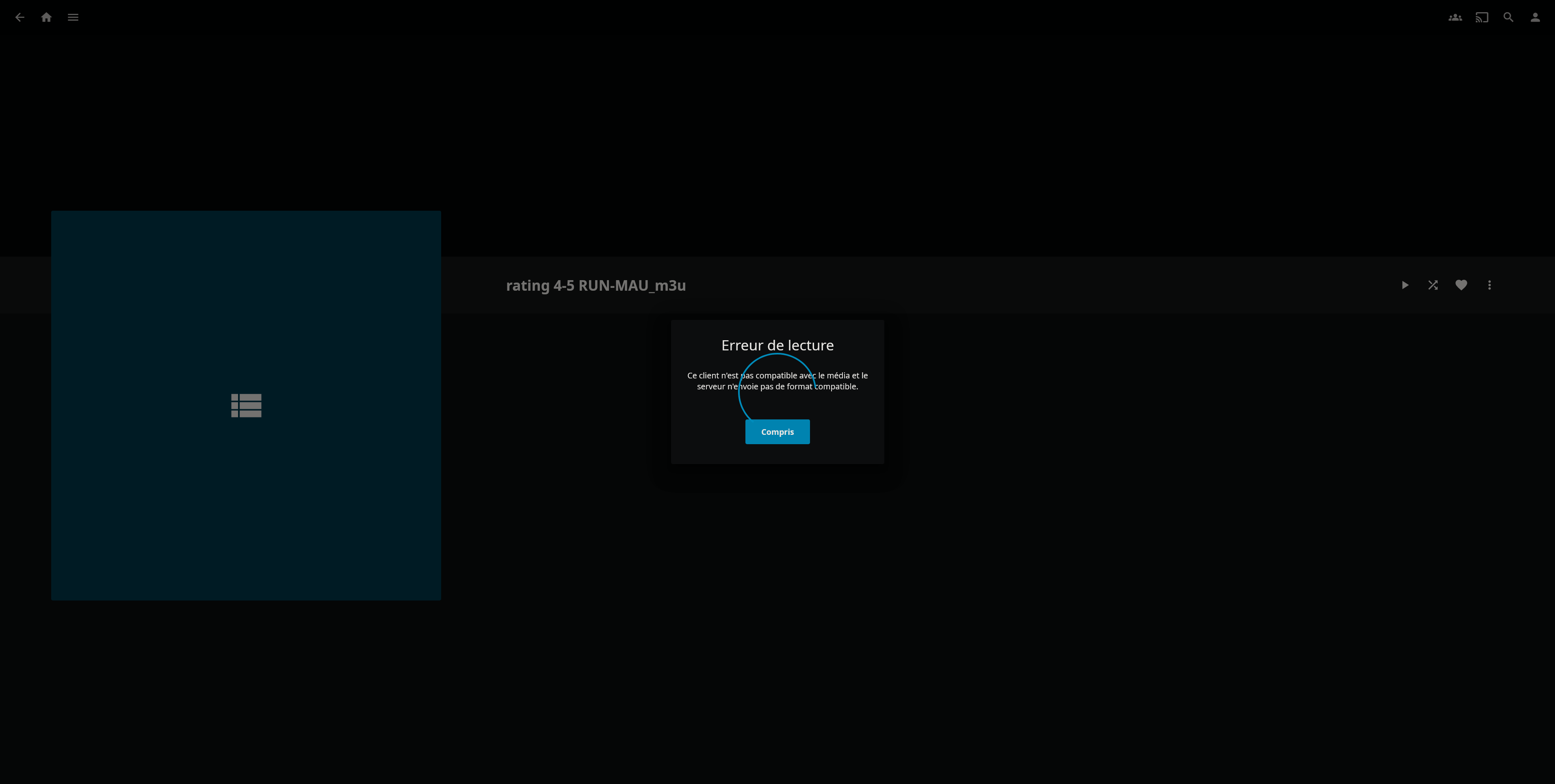 [Issue]: Jellyfin can't read my .m3u or .m3u8 playlists (MediaBrowser ...