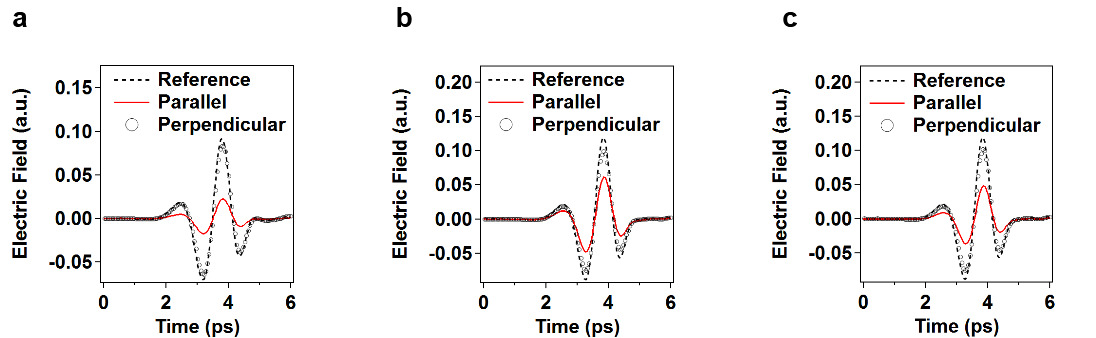 GitHub - tamjidimtiaz/CNT-Alignment-Estimation