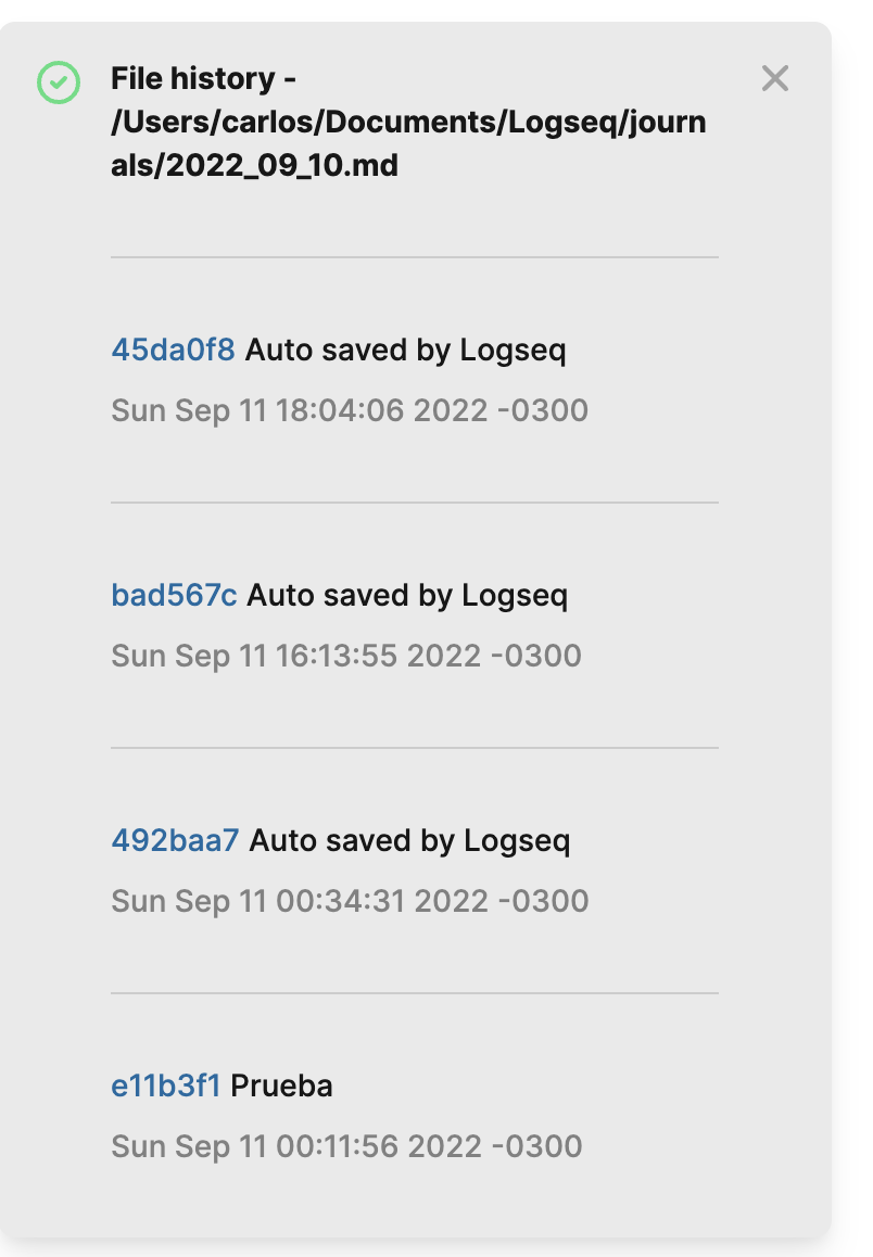 Avoid showing full path in version history · Issue #6689 · logseq/logseq · GitHub