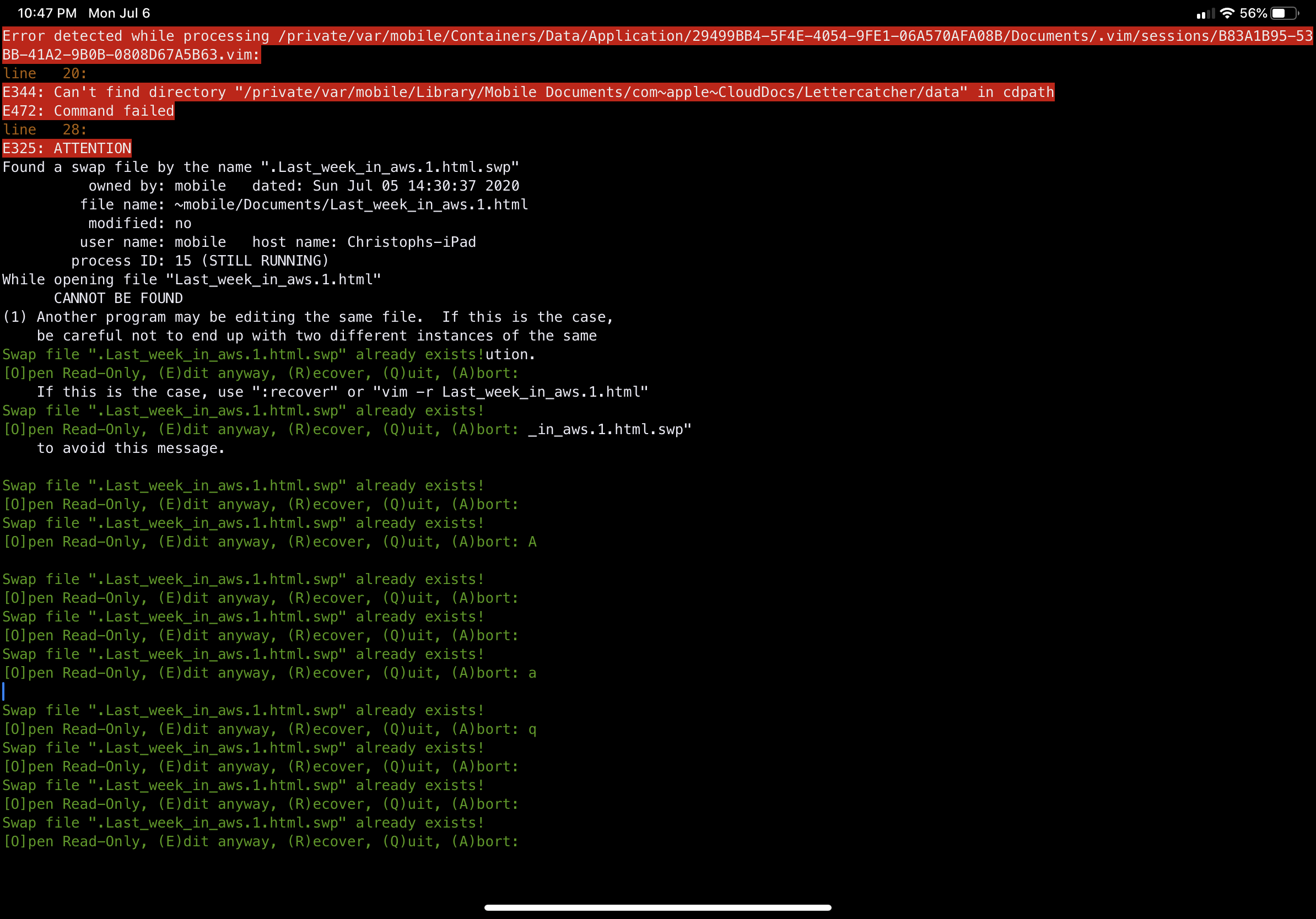Failure to start after vim session · Issue #83 · holzschu/a-shell · GitHub