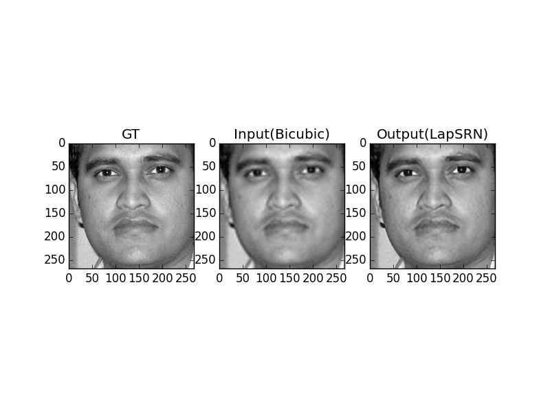 Test On My Own Images · Issue 1 · Twtygqyy Pytorch Lapsrn · Github