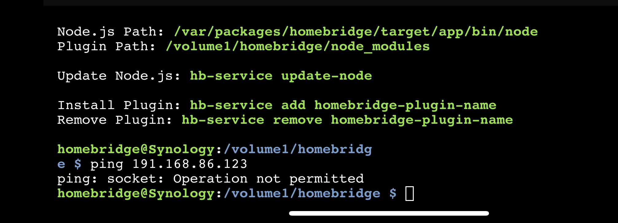 The Ping function on IP address · Issue #1436 · homebridge/homebridge-config-ui-x · GitHub