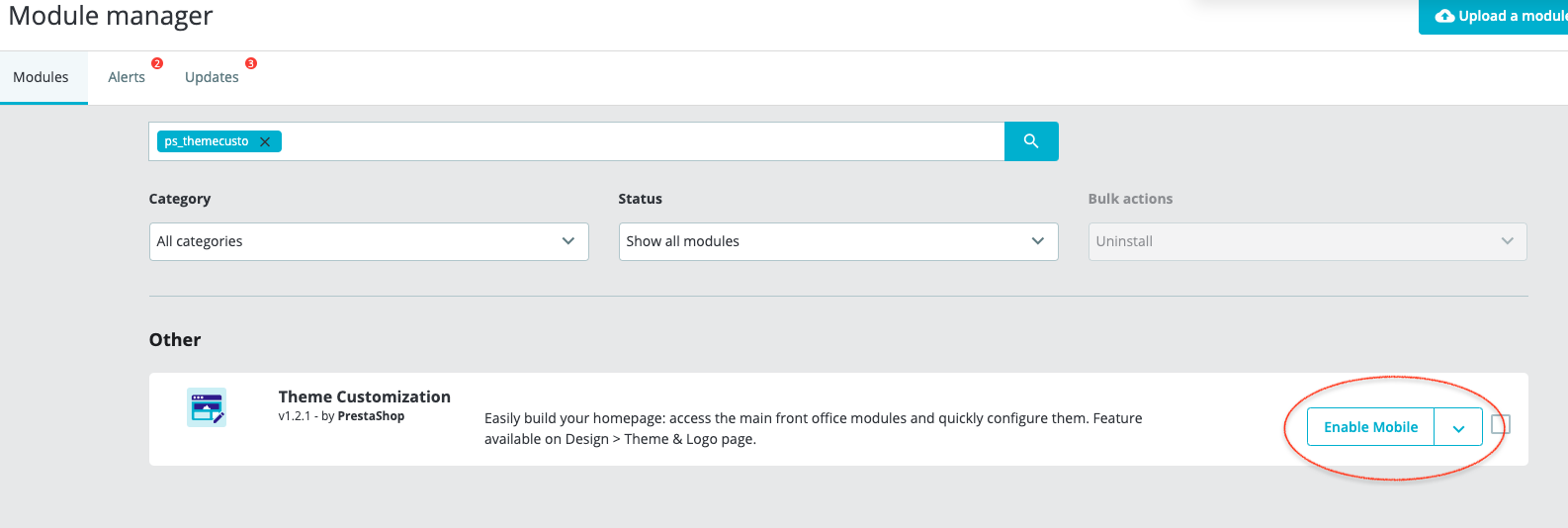 Theme Customization module - Mobile - Disable mobile action is not working + bad display on tab ...