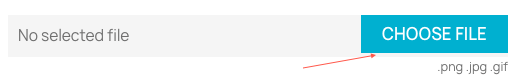 FO - Button of file field in customization product has a smaller height rather than its field ...