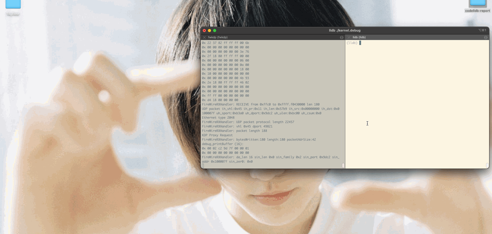 Is there a plan to support macos kernel debug? · Issue #683 · vadimcn/codelldb · GitHub