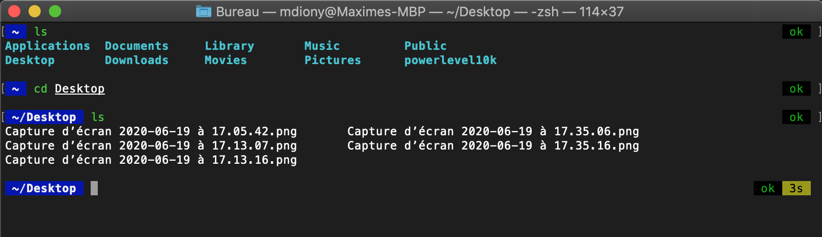 Problem with configuration of powerlevel10k theme · Issue #832 · romkatv/powerlevel10k · GitHub