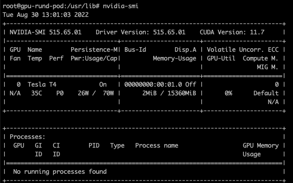PASSTHROUGH GPU in VMM，256MB memory is used but no process run in GPU · Issue #357 · NVIDIA/open ...