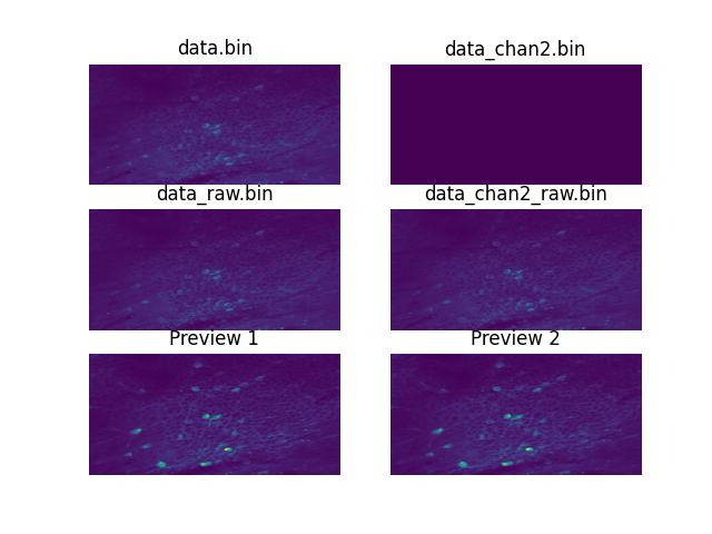 Multi channel ome.tif files as input - data shuffled between channels · Issue #1049 · MouseLand ...
