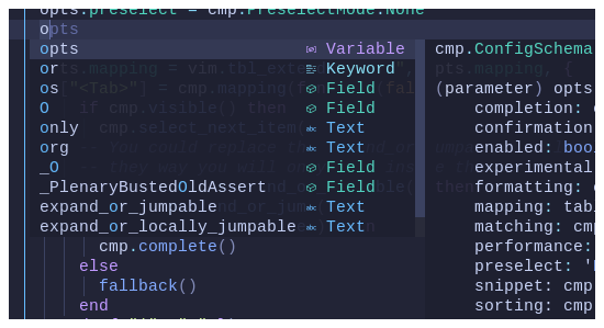 Preselect option of nvim-cmp is ignored · Issue #301 · LazyVim/LazyVim · GitHub