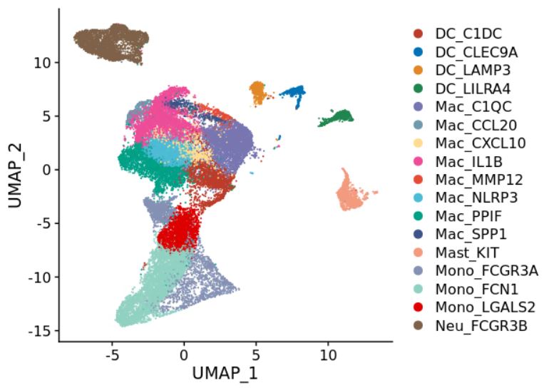 Discrepancy between UMAP and graph-based clustering after subset · Issue #7398 · satijalab ...