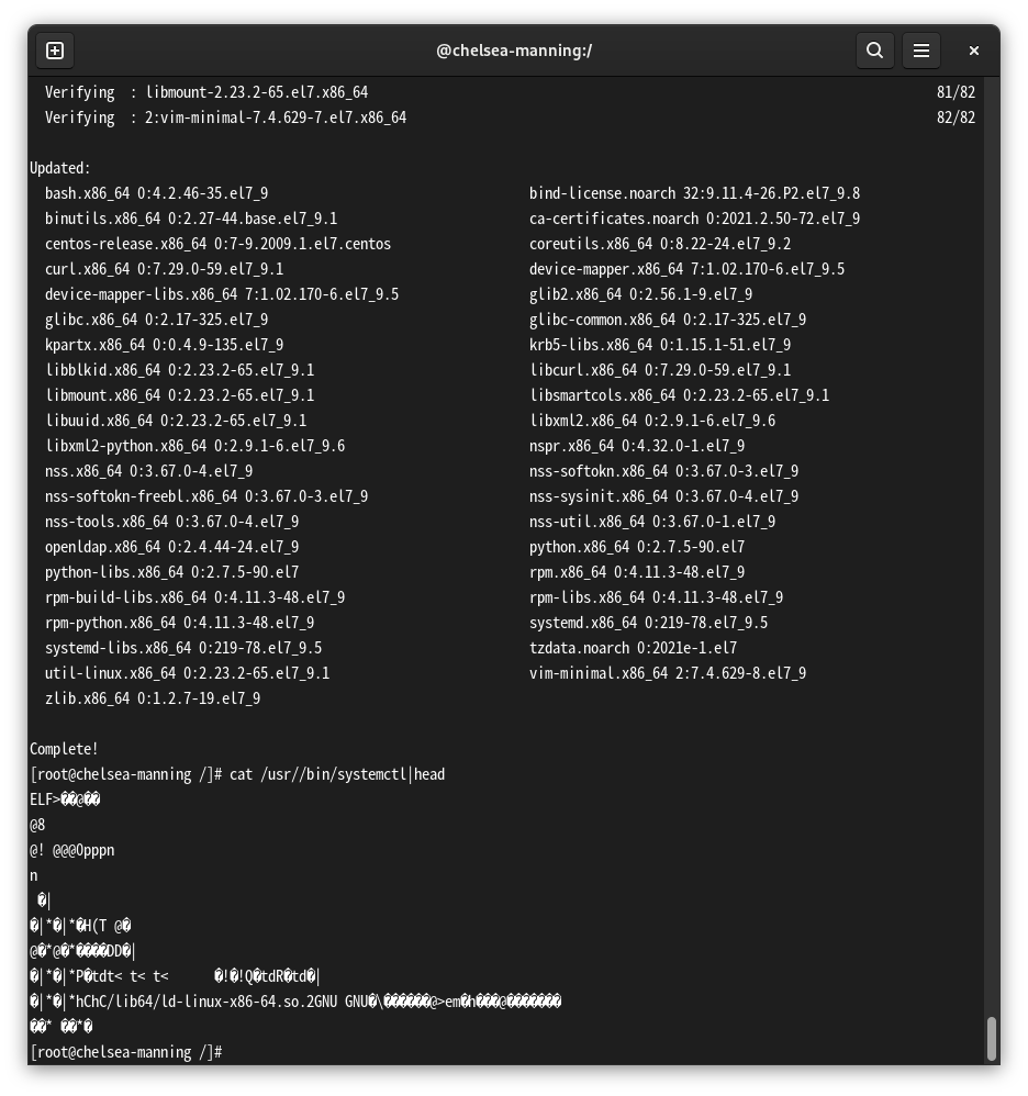 在docker容器中安装trojan时有如下报错 · Issue #610 · Jrohy/trojan · GitHub
