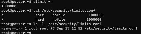 {fix} dns file :accept4: too many open files · Issue #280 · AdguardTeam/dnsproxy · GitHub