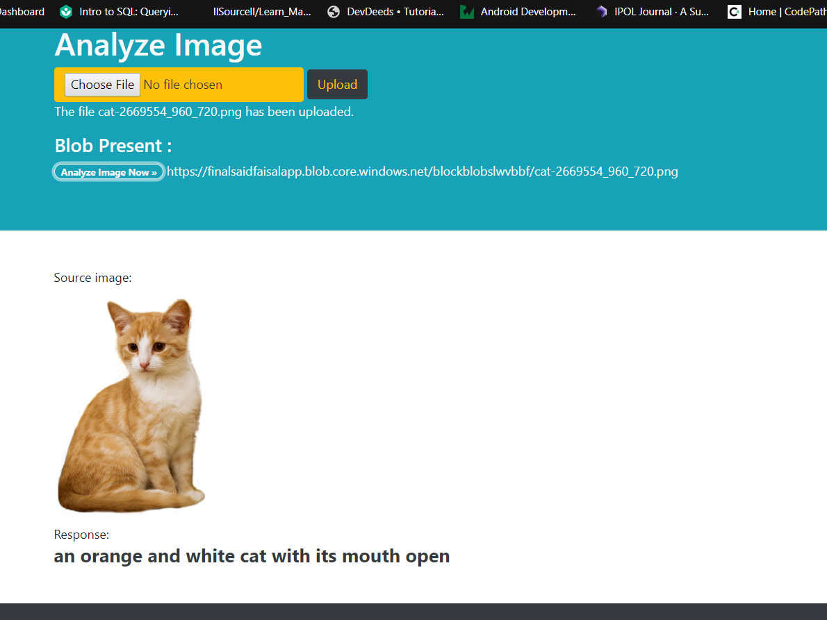 GitHub - saidfaisal/Image-Analysis-with-Azure-Computer-Vision: Final ...