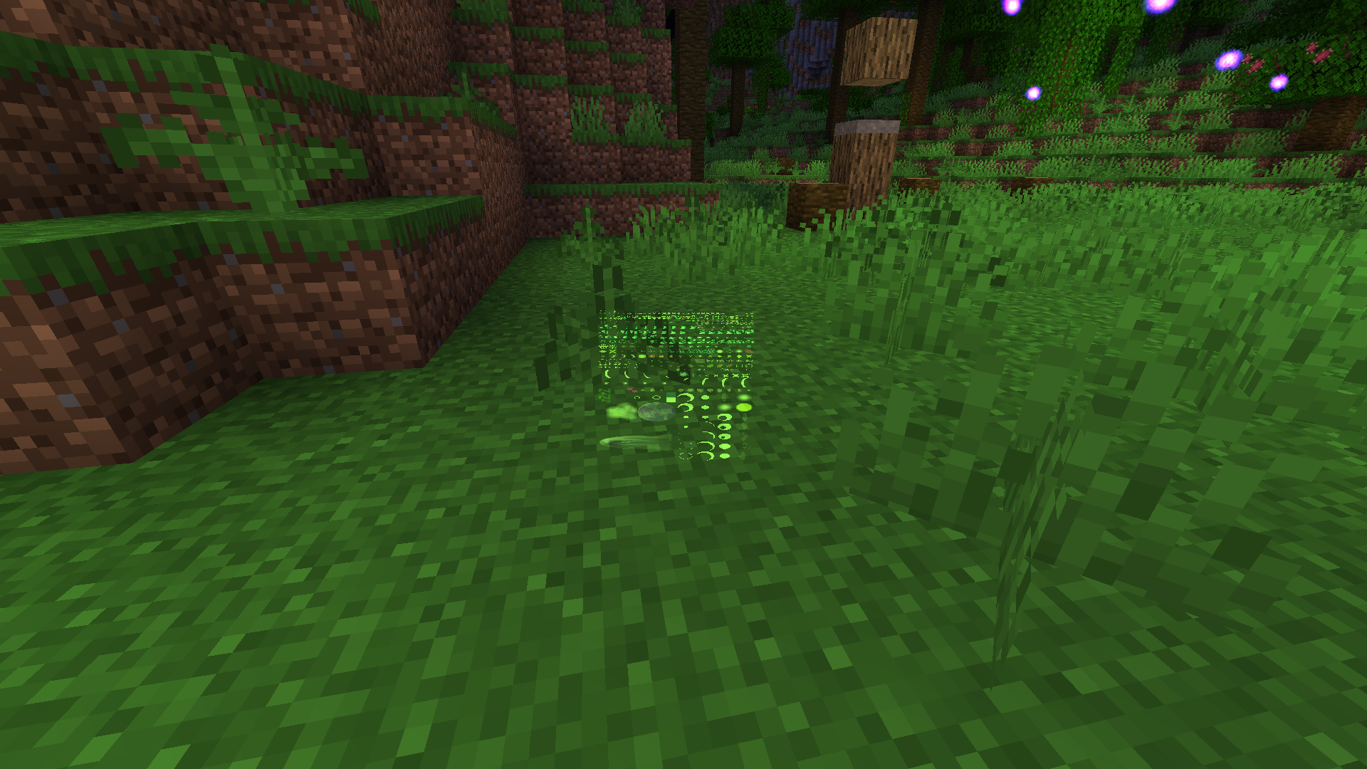 [0.2.30] Aura particles in sparse jungle biome are texture atlas(s ...