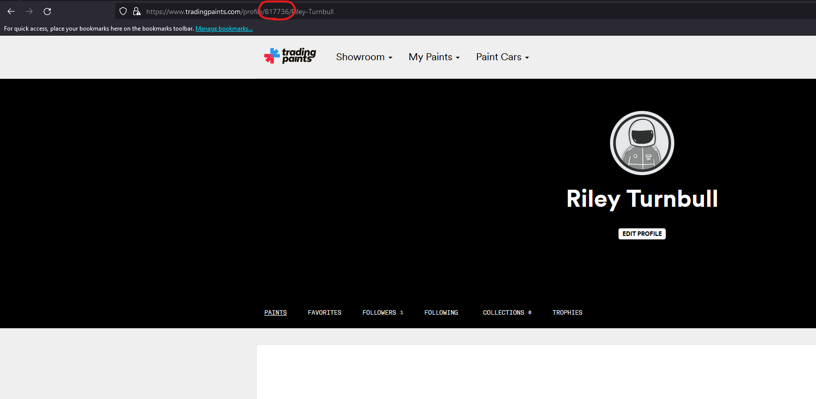 GitHub - ribull/iRacing-Skin-Script