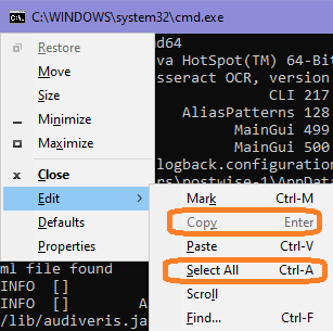 Audiveris on Windows 10 · Issue #484 · Audiveris/audiveris · GitHub