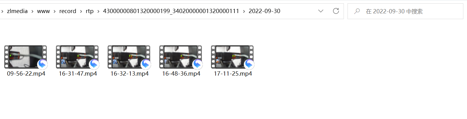 找不到文件 · Issue #6 · 648540858/wvp-pro-assist · GitHub