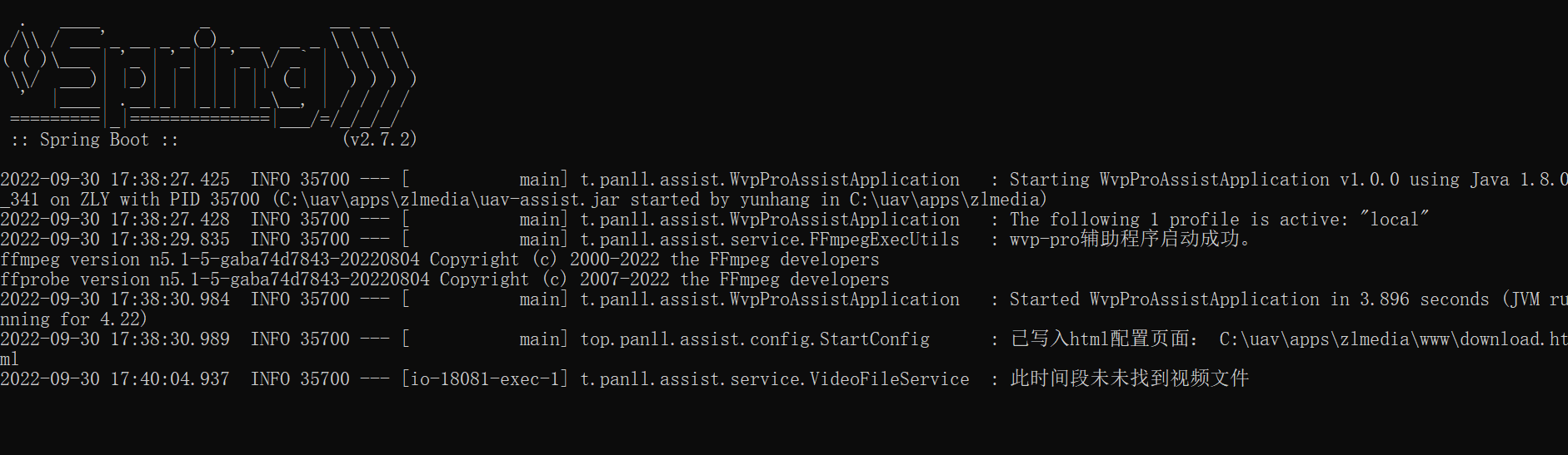找不到文件 · Issue #6 · 648540858/wvp-pro-assist · GitHub