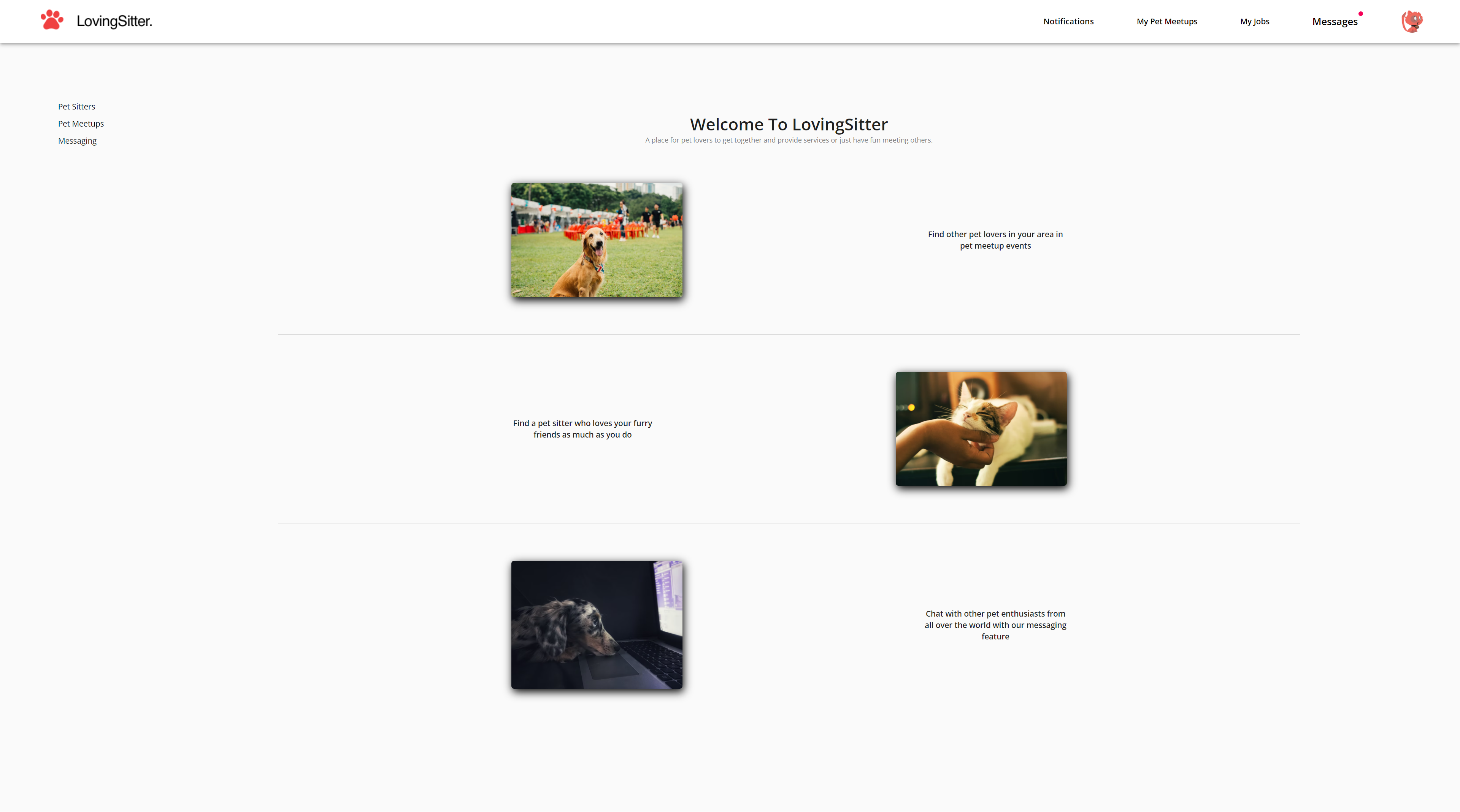 GitHub - hatchways/team-potato-bread