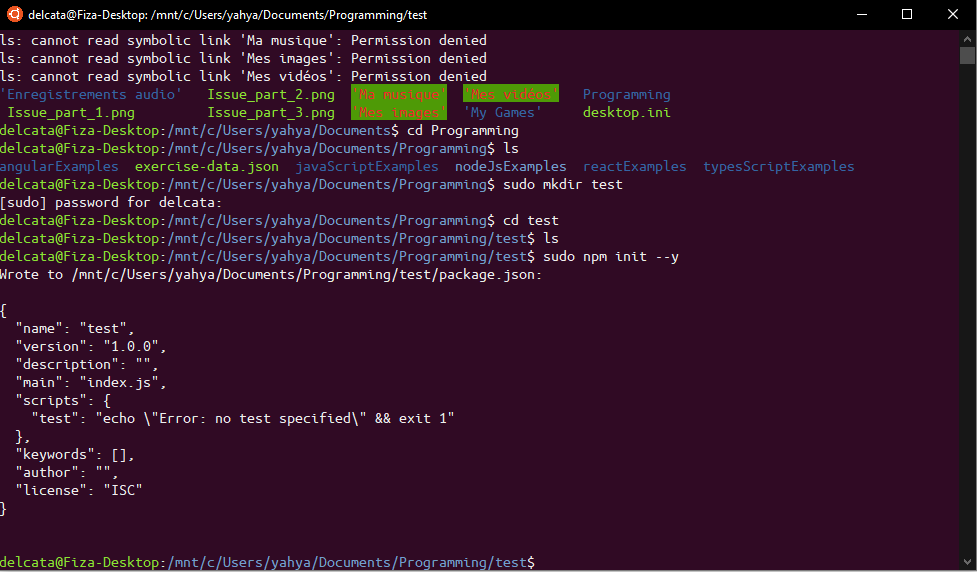 Npm init problem · Issue #470 · WhitewaterFoundry/Pengwin · GitHub